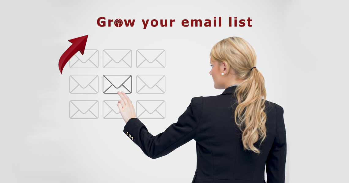 Essential Strategies for Growing your Leads through Email – Maroon Oak